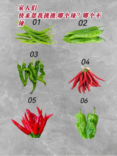 辣椒图片大全大图真实_辣椒种类怎么区分-第3张图片-山城妙识