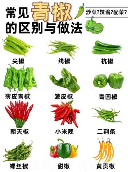 辣椒图片大全大图真实_辣椒种类怎么区分-第2张图片-山城妙识