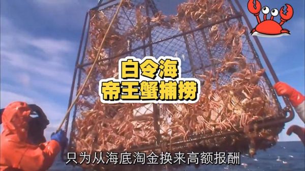 阿拉斯加帝王蟹捕蟹人工资_危险吗-第1张图片-山城妙识