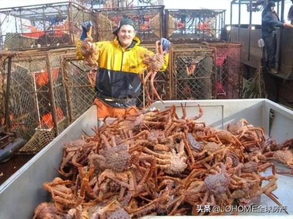 阿拉斯加帝王蟹捕蟹人工资_危险吗-第2张图片-山城妙识