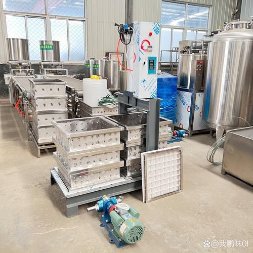 豆腐干怎么做_豆腐干制作流程-第2张图片-山城妙识