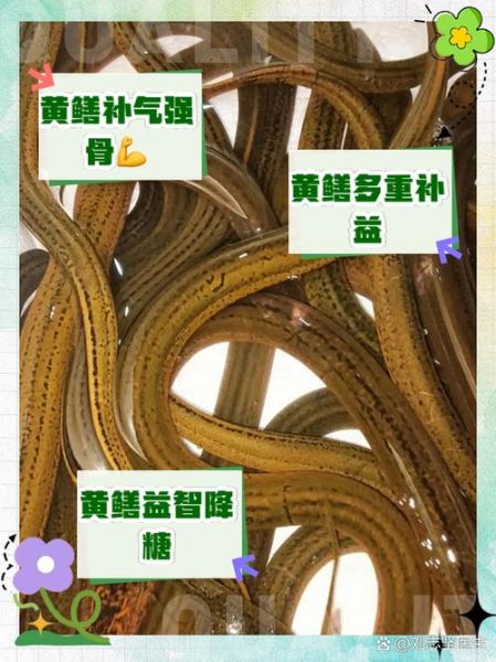 黄鳝的营养价值_黄鳝的功效与作用-第1张图片-山城妙识