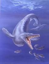 龙王鲸是什么动物_龙王鲸灭绝了吗-第2张图片-山城妙识