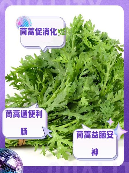 茼蒿怎么读_茼蒿的功效与作用-第1张图片-山城妙识