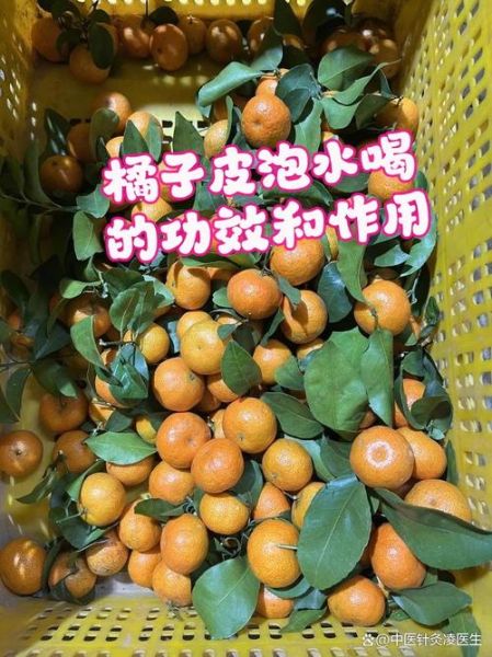 橘子皮泡水喝的功效与作用_橘子皮能减肥吗-第3张图片-山城妙识