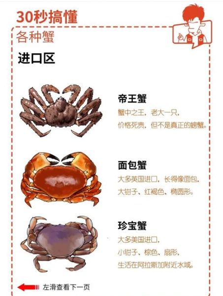 青蟹刚死12小时能吃吗_如何判断青蟹是否变质-第1张图片-山城妙识 青蟹刚死12小时能吃吗_如何判断青蟹是否变质-第1张图片-山城妙识