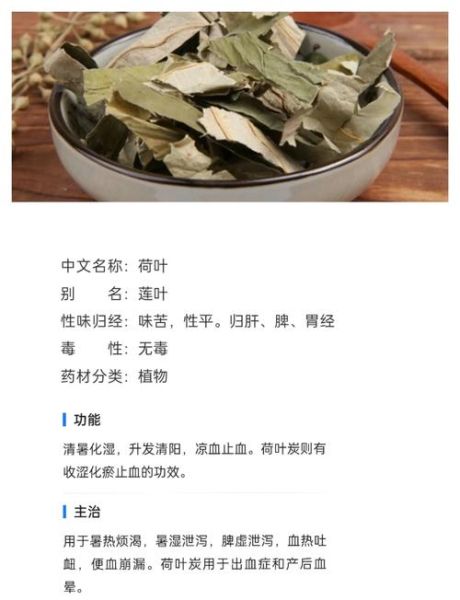 野山楂叶的功效与作用_野山楂叶怎么泡水喝-第3张图片-山城妙识