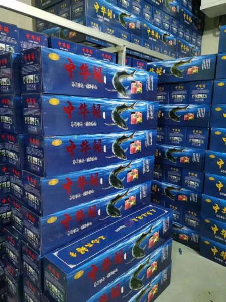 中华鲟图片多少钱一斤_中华鲟市场价-第1张图片-山城妙识