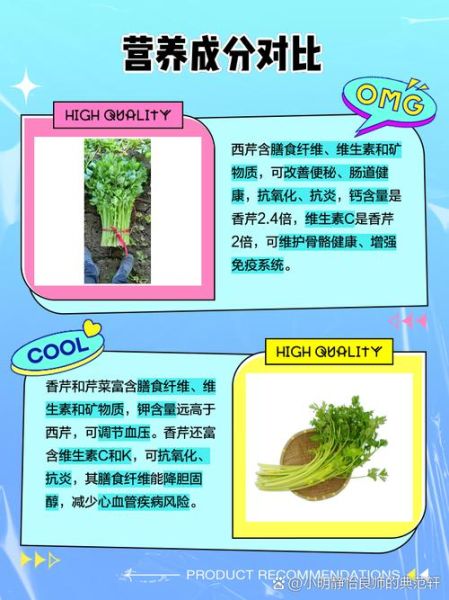 香芹和西芹的区别是什么_香芹和西芹哪个更营养-第1张图片-山城妙识 香芹和西芹的区别是什么_香芹和西芹哪个更营养-第1张图片-山城妙识