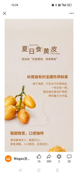 黄皮果的功效与作用禁忌_孕妇能吃吗-第3张图片-山城妙识 黄皮果的功效与作用禁忌_孕妇能吃吗-第3张图片-山城妙识