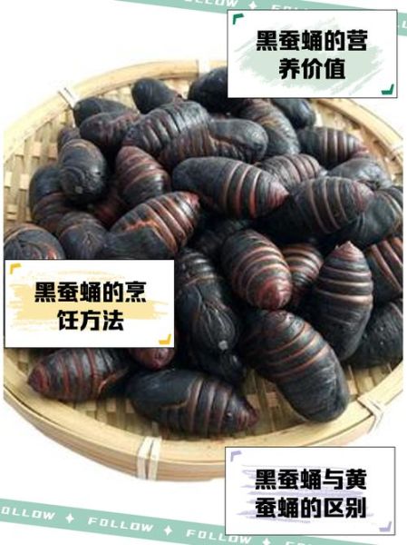 蚕蛹是什么_蚕蛹能吃吗-第3张图片-山城妙识