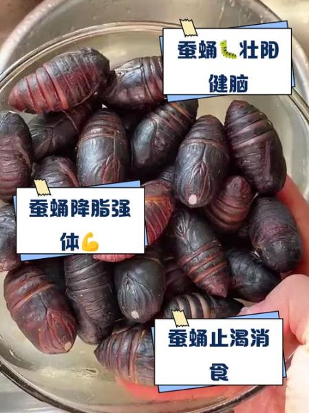 蚕蛹是什么_蚕蛹能吃吗-第2张图片-山城妙识