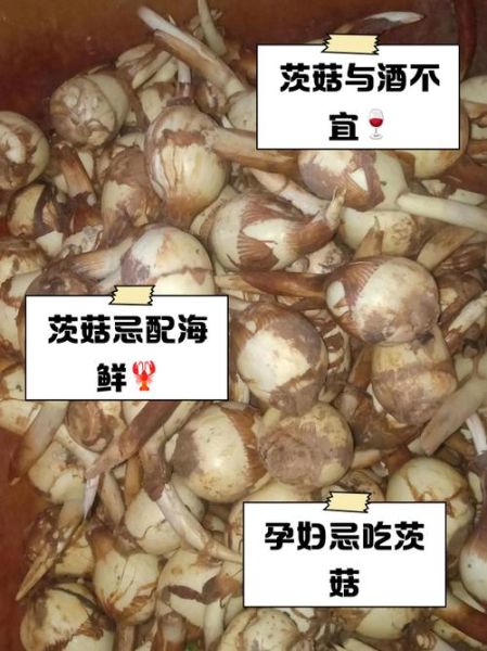 茨菇怎么吃化肿瘤_茨菇抗肿瘤吃法大全-第3张图片-山城妙识