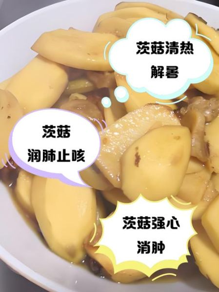 茨菇怎么吃化肿瘤_茨菇抗肿瘤吃法大全-第2张图片-山城妙识