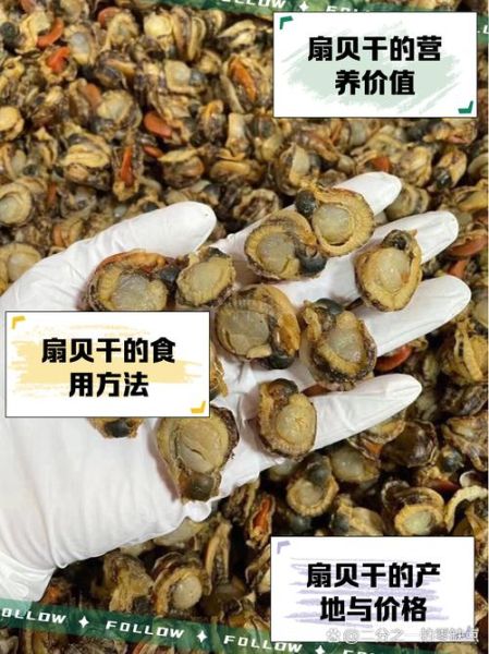 干贝是什么东西做的_干贝原料揭秘-第1张图片-山城妙识