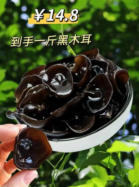 长期吃木耳的好处_木耳可以天天吃吗-第3张图片-山城妙识