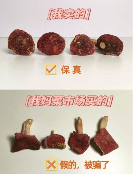 真红菇和假红菇的区别_如何辨别真假红菇-第3张图片-山城妙识