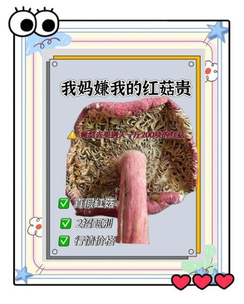 真红菇和假红菇的区别_如何辨别真假红菇-第1张图片-山城妙识