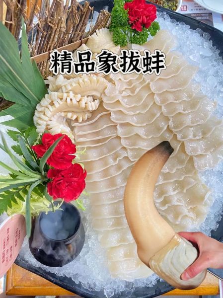 象拔蚌刺身多少钱_象拔蚌刺身价格一般多少-第1张图片-山城妙识 象拔蚌刺身多少钱_象拔蚌刺身价格一般多少-第1张图片-山城妙识