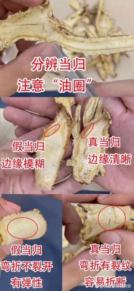 野生当归长什么样_如何辨别真假野生当归-第1张图片-山城妙识