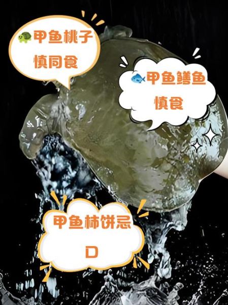 甲鱼不能和什么一起吃_孕妇吃甲鱼禁忌-第2张图片-山城妙识