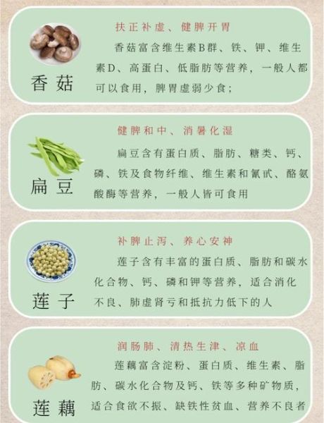 补气健脾的食物有哪些_怎么吃最有效-第2张图片-山城妙识