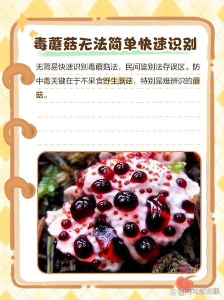 去山上捡蘑菇的诀窍_如何分辨毒蘑菇-第2张图片-山城妙识