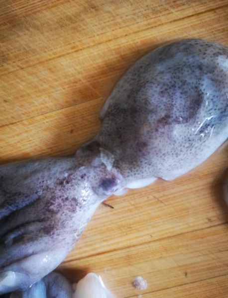 八带鱼怎么处理干净_八带鱼清洗内脏步骤-第1张图片-山城妙识