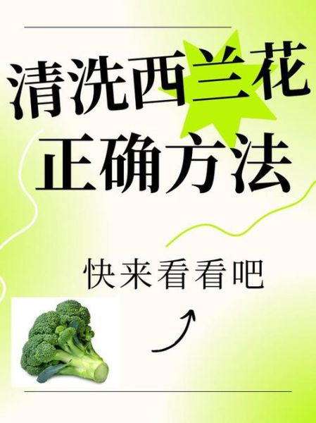 西兰花怎么清洗才干净_西兰花清洗的正确方法-第1张图片-山城妙识