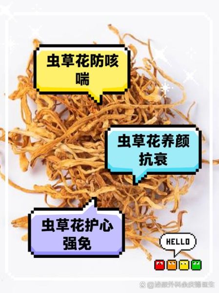 虫草鸡桃是什么_虫草鸡桃的功效与作用-第2张图片-山城妙识