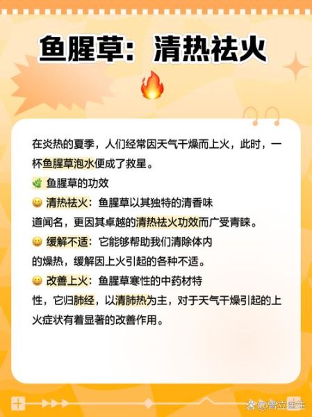 鱼腥草干泡水禁忌_什么人不能喝-第1张图片-山城妙识