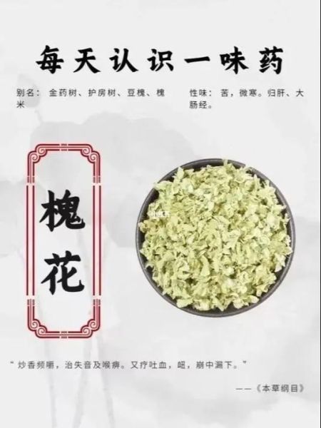 长期服用槐花有副作用吗_槐花长期吃安全吗-第1张图片-山城妙识 长期服用槐花有副作用吗_槐花长期吃安全吗-第1张图片-山城妙识