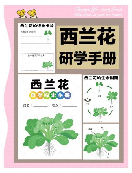 西兰花怎么种_西兰花种植时间和方法-第1张图片-山城妙识