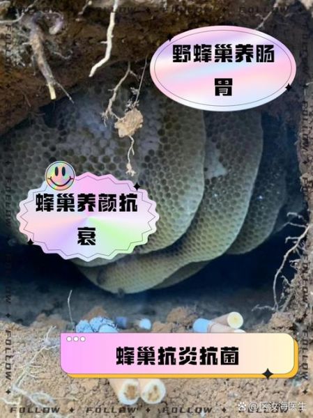 蜂巢哪些人不能吃_蜂巢禁忌人群有哪些-第3张图片-山城妙识