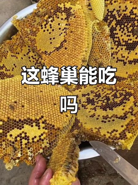 蜂巢哪些人不能吃_蜂巢禁忌人群有哪些-第2张图片-山城妙识