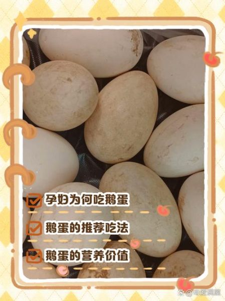 鹅蛋怎么吃去胎毒_孕妇吃鹅蛋去胎毒的正确方法-第2张图片-山城妙识