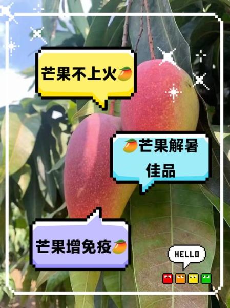 芒果寒凉还是上火_为什么芒果又寒凉又上火-第3张图片-山城妙识 芒果寒凉还是上火_为什么芒果又寒凉又上火-第3张图片-山城妙识