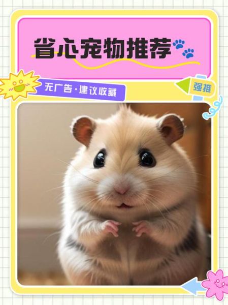 懒人适合养什么宠物_12种超省心萌宠推荐-第2张图片-山城妙识