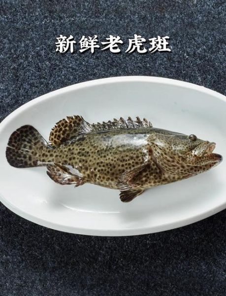 老虎斑鱼怎么做好吃_清蒸老虎斑鱼的做法步骤-第1张图片-山城妙识