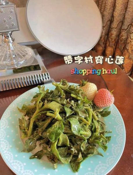 穿心莲怎么拌好吃_穿心莲凉拌做法大全-第2张图片-山城妙识 穿心莲怎么拌好吃_穿心莲凉拌做法大全-第2张图片-山城妙识