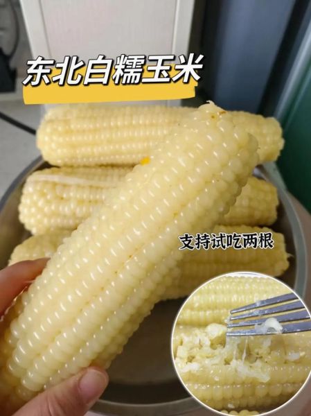 白糯玉米要煮多久才熟透_白糯玉米煮多久口感最好-第1张图片-山城妙识