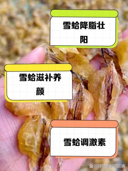 雪蛤燕窝的功效与作用_雪蛤燕窝适合什么人吃-第3张图片-山城妙识