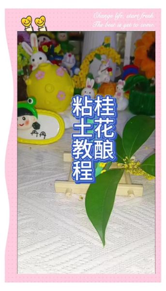 桂花酒怎么酿_桂花酒制作方法窍门-第3张图片-山城妙识