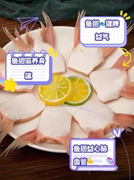 鱼翅有什么功效_鱼翅的营养价值与作用-第2张图片-山城妙识