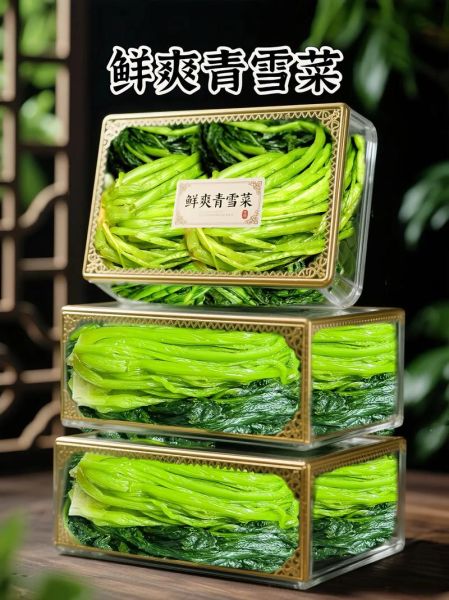 雪里蕻是什么菜_雪里蕻和雪菜的区别-第2张图片-山城妙识