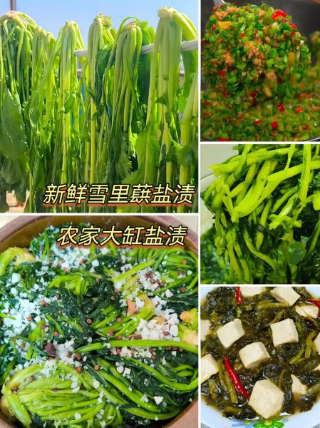 雪里蕻是什么菜_雪里蕻和雪菜的区别-第3张图片-山城妙识