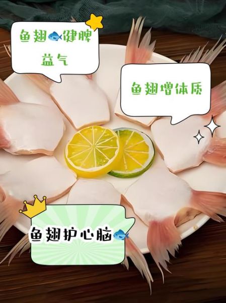 鱼翅有什么功效_鱼翅的营养价值与作用-第3张图片-山城妙识
