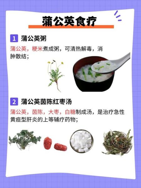 蒲公英图片功效与作用_蒲公英泡水喝有什么禁忌-第1张图片-山城妙识 蒲公英图片功效与作用_蒲公英泡水喝有什么禁忌-第1张图片-山城妙识