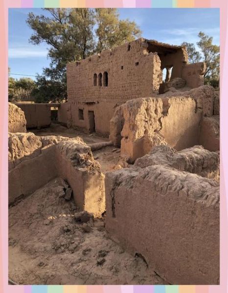 椰枣树盆栽几年结果_椰枣树盆栽多久能结果-第1张图片-山城妙识 椰枣树盆栽几年结果_椰枣树盆栽多久能结果-第1张图片-山城妙识