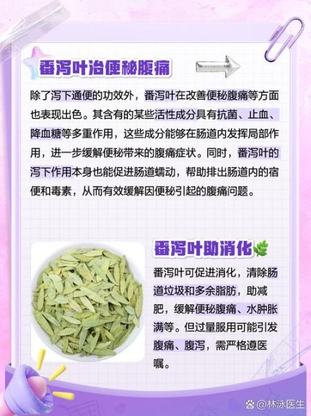 番泻叶的功效与作用_番泻叶的副作用有哪些-第2张图片-山城妙识